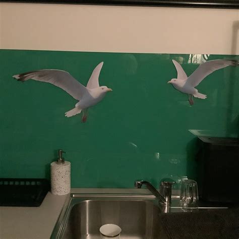 Crow Decal Flying Raven Vinyl Decal Bird Lover T Illustrated