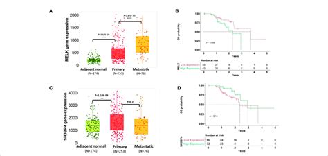 Transcriptomic Profiling Of The Candidate Gene Expressions And Melanoma