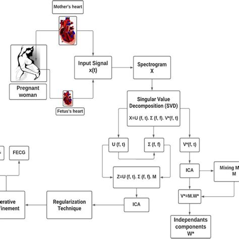Global Algorithm Figure 1 Provides A Comprehensive Overview Of The Download Scientific Diagram