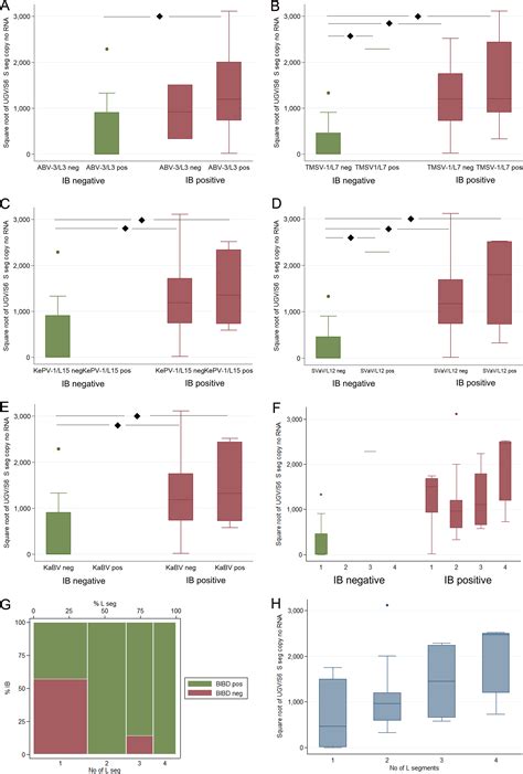 Reptarenavirus S Segment Rna Levels Correlate With The Presence Of