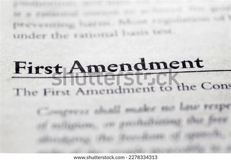 6 926 Imágenes Fotos De Stock Objetos En 3d Y Vectores Sobre The First Amendment Shutterstock