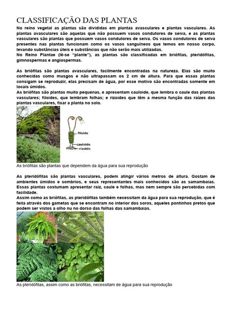 Classificação Das Plantas Pdf Plantas Musgo