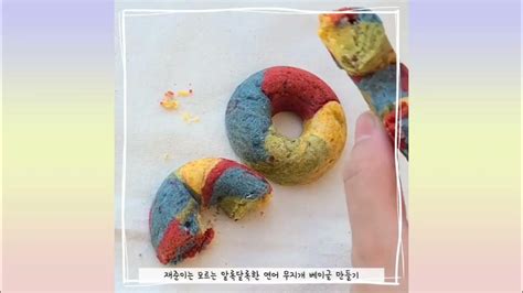 고양이 강아지 베이글 만들기 펫푸드 펫베이커리 레시피 Youtube