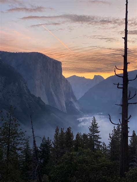 Untilitsdone Curecf Graytonsguardians Togetherforjames Echospan Beasequoia Kristin Dellinger