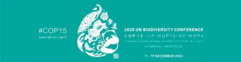 African Development Bank At The Un Biodiversity Conference Cop 15 Ecg