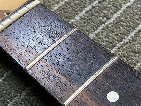 Fender Stratocaster Owls Guitar Sanctuary