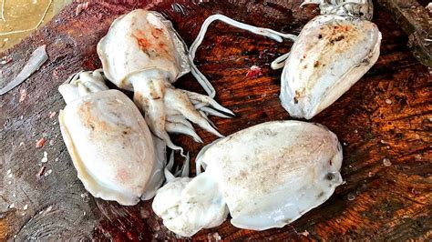 Four Cuttlefish Cleaning And Cutting Fish Cutting Skills Sri Lanka