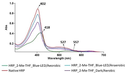 The Uv Visible Analysis Of Hrp After The Addition Of 2 Me Thf Download Scientific Diagram