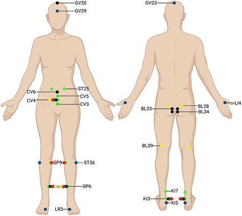 Acupuncture For Women With Overactive Bladder Ijgm