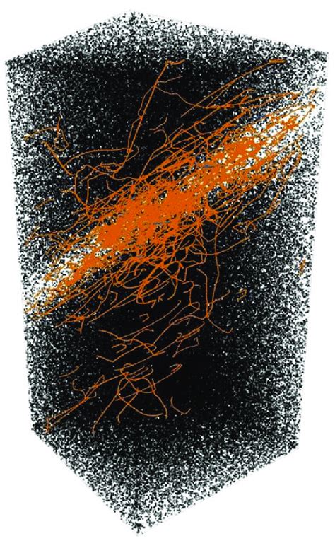 Color Online Distribution Of Irradiation Defects And Dislocation