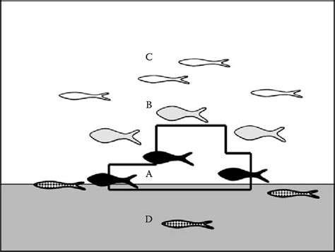1 Classification Of Artificial Reef Fish Based On Their Position