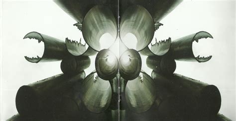 Cries From The Quiet World Origin Antithesis