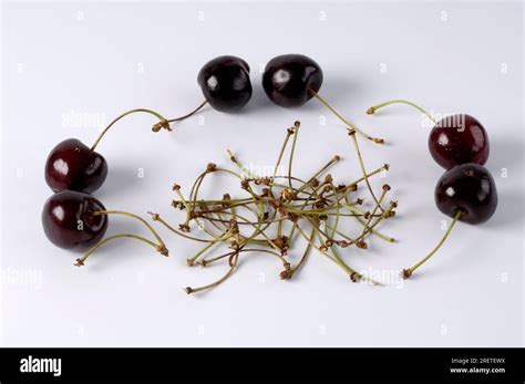 Cherries Prunus And Cherry Stems Cherry Stem Cherry Stems Fruit