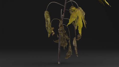 Ricinus Plant 3d Model By Green Lander