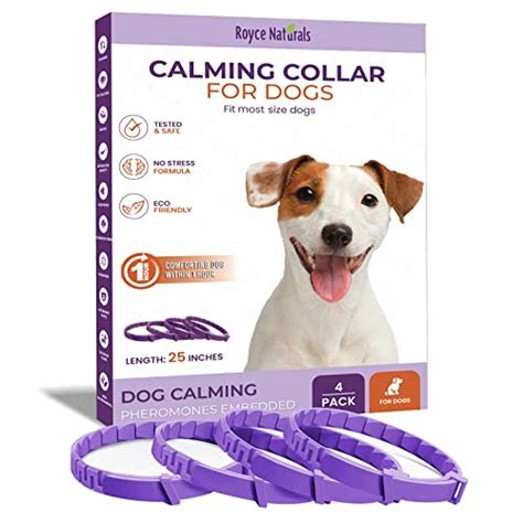 Top 10 Best Calming Collar For Dogs Reviews And Buying Guide Katynel