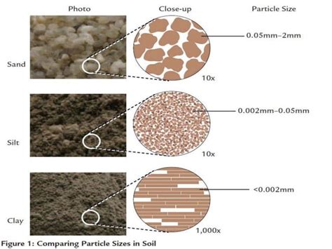 Inorganic And Organic Components Of Soil Soil Composition Pptx