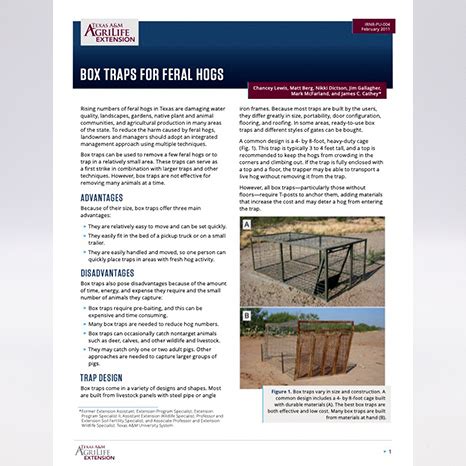 Box Traps For Feral Hogs Publications Agrilife Learn