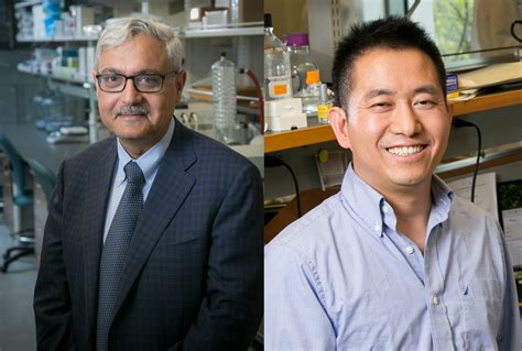 Multidisciplinary University Research Initiative Tackles Synthetic Biology Duke Pratt School