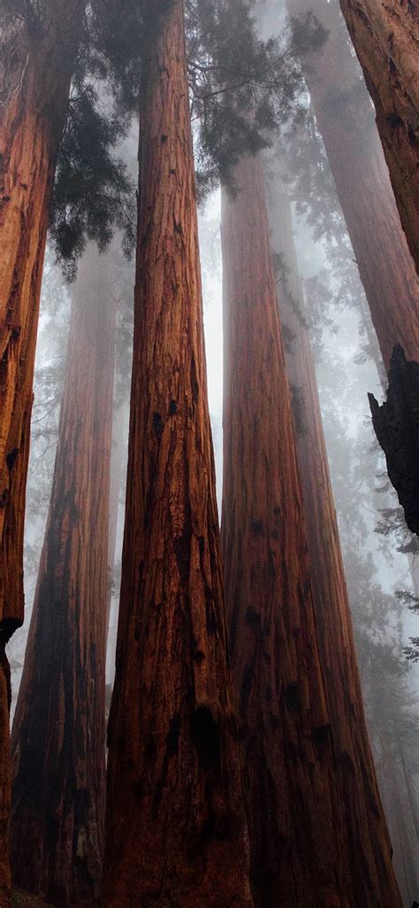 G195潮流壁紙 的个人主页 微博 花瓣网