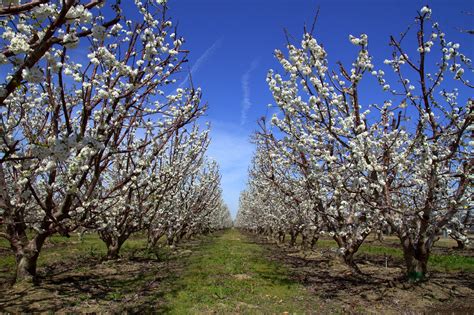 자연 겔러리 그날이 오길 기다림속에