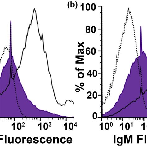Classical Complement Activation Occurs Through Igm Recognition Of Download Scientific Diagram