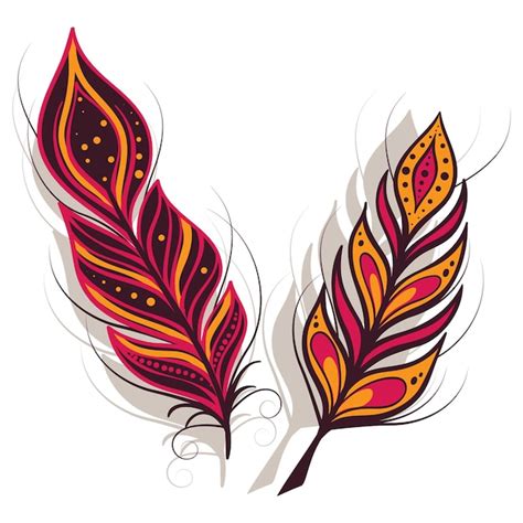 Premium Vector Colorful Feather Vector