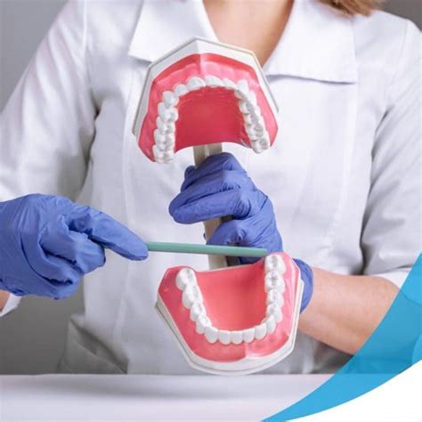 Wisdom Teeth 101 Understanding Your Third Molars Smile Every Day Dentistry