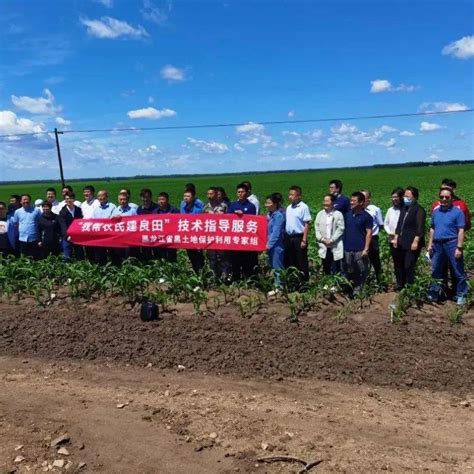 省农业环境与耕地保护站组织专家下基层开展 我帮农民建良田”技术指导服务黑土地问题保护