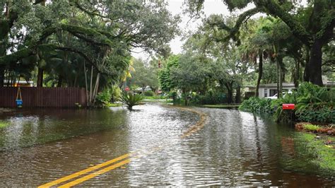 How Flooding Affects Trees Yardbarker