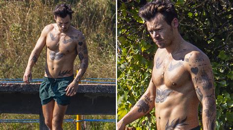 Harry Styles Shows Off Ripped Body In English Duck Pond