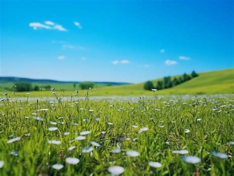 Premium Ai Image Grassland With Dark Blue Solid Sky
