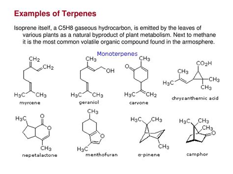 Islamic University Of Gaza Ppt Download