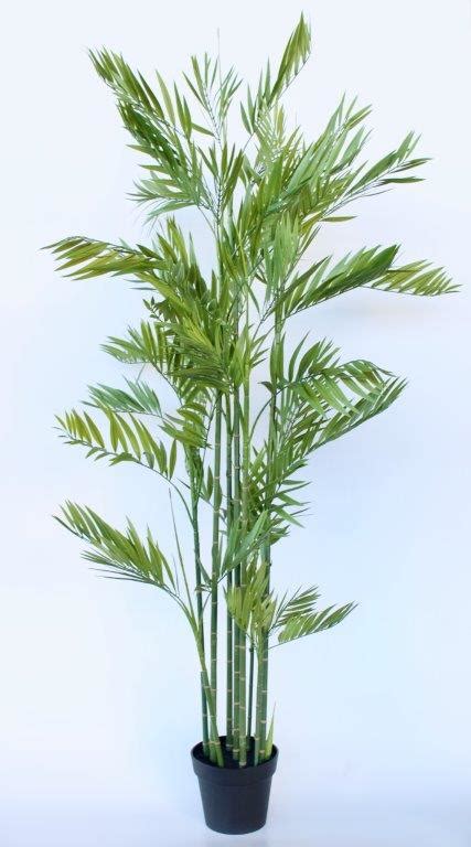 Tall Tree In Pot 180x65cm Lemon Tree Interiors