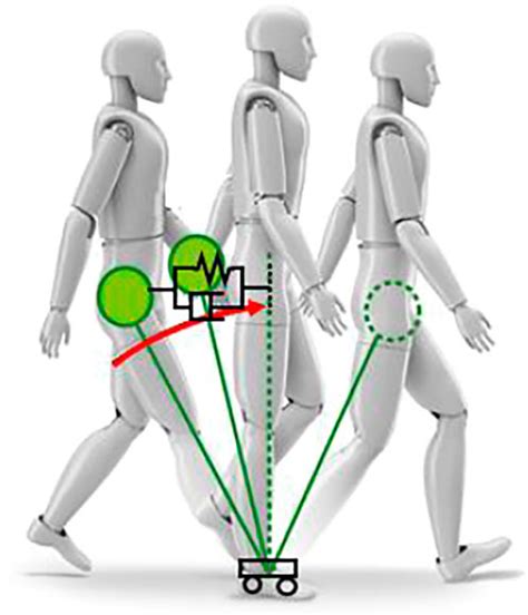 frontiers identification of human walking balance controller based on com zmp model of