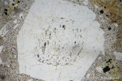 Plagioclase Thin Section Tectosilicates Microckscopic