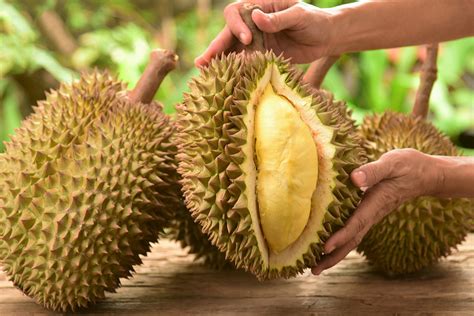 10 Most Expensive Asian Fruits Asian Inspirations