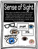 Five Senses Sense Of Sight By Teaching Sharp Minds Tpt