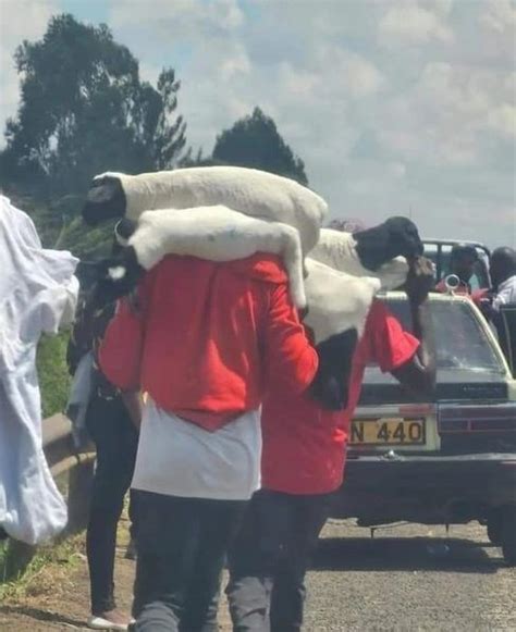 Prof Simon Gicharu Biography Owner Of Tv 47 And Radio 47 Venas News