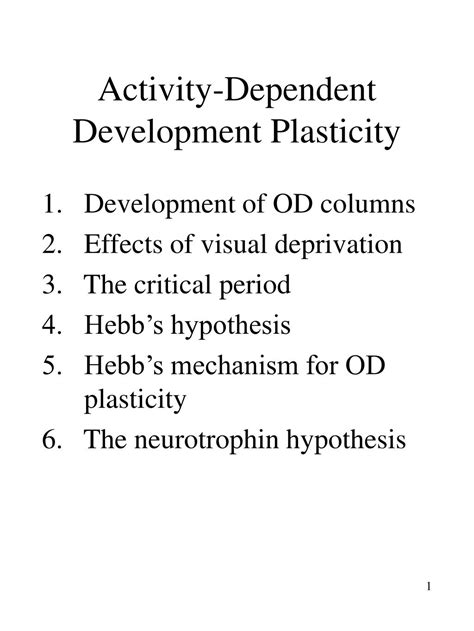 Ppt Activity Dependent Development Plasticity Powerpoint Presentation Id3208963