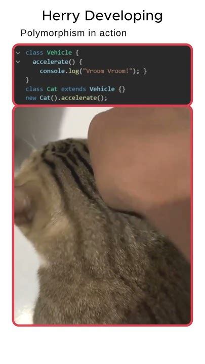 🎭 When Polymorphism Pulls A Prank 🤖💡 Codinghumor Shorts