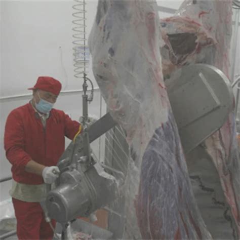 New Customized Design Cattle Carcass Band Splitting Saw Cow