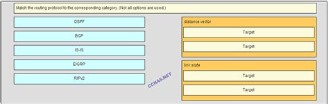 CCNA 2 Chapter 7 v5 0 Exam Answers Español