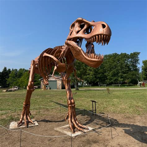 Jurassic Lakeshore The Story Of Gilbert The T Rex