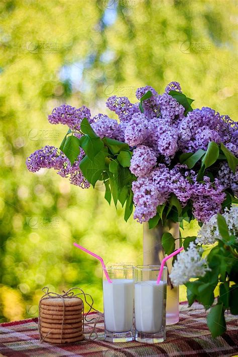 玻璃杯里的牛奶，花瓶里的丁香枝。杯子里的牛奶，花瓶里的丁香树枝，还有饼干。早餐在自然界中图片其他图片图片素材 花瓣网