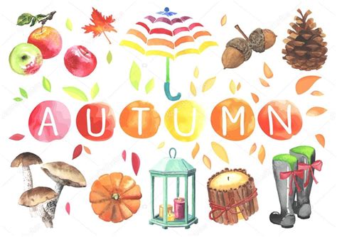 Cute Autumn Elements Stock Vector Image By ©olga Bonitas 123359526