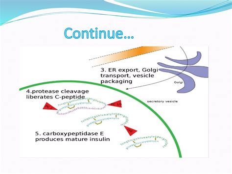 Post Translational Modificationpptx