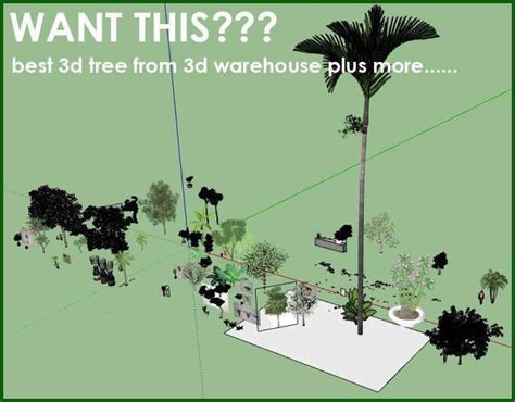 sketchup texture trees 3d collection
