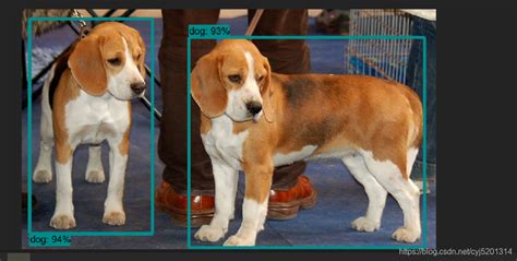 利用谷歌的预训练模型实现目标检测objectdetectiontutorialipynb谷歌object Detection Csdn博客