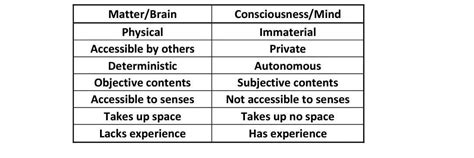 Simple Reasons To Reject Materialism Rlefthandpath