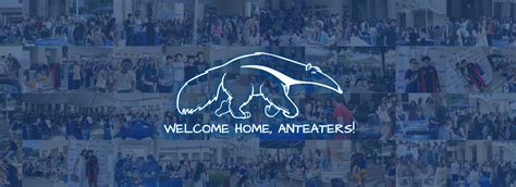 Home School Of Social Sciences Uci Social Sciences